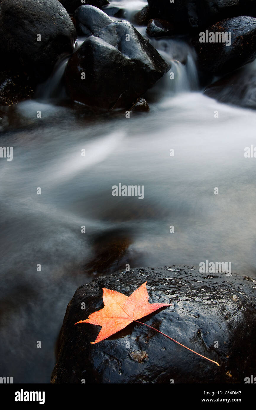 Blurred waterfall hi-res stock photography and images - Alamy
