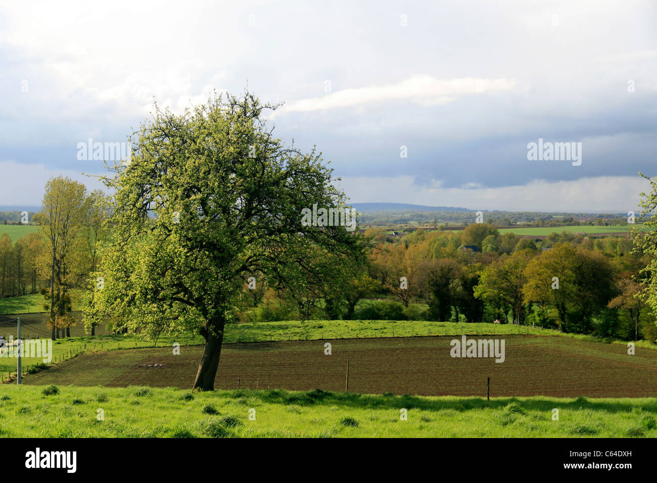 Bocage landscape hi-res stock photography and images - Alamy