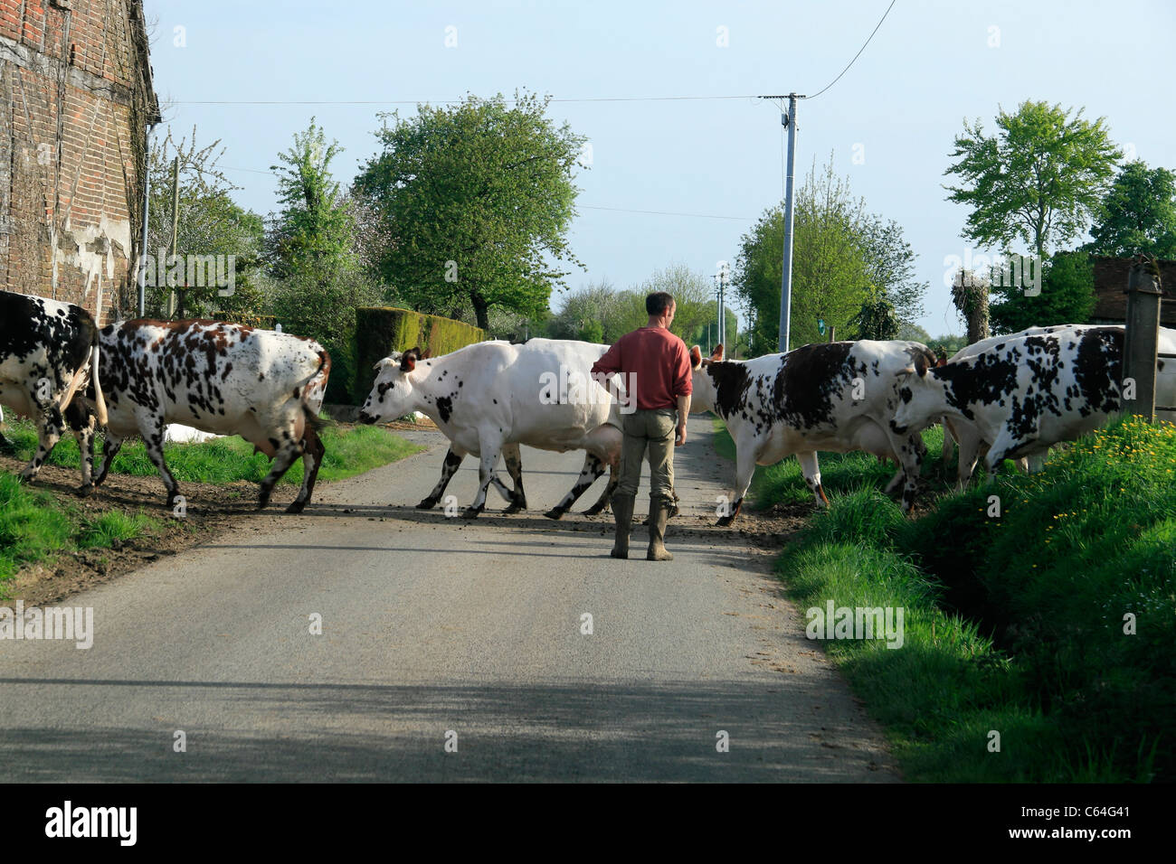 Cross the road hi-res stock photography and images - Alamy