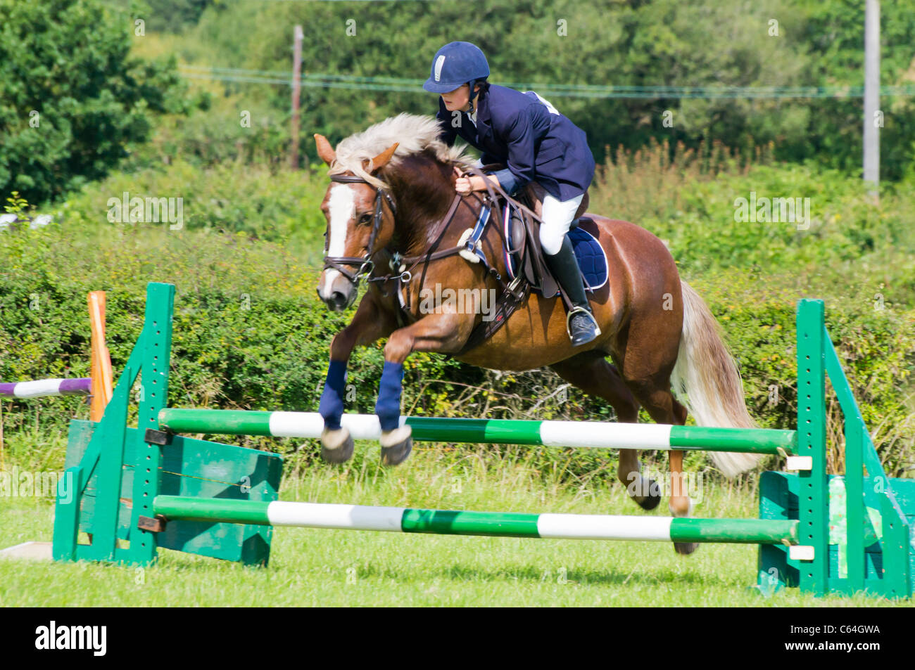 Horse and rider show jumping Stock Photo - Alamy