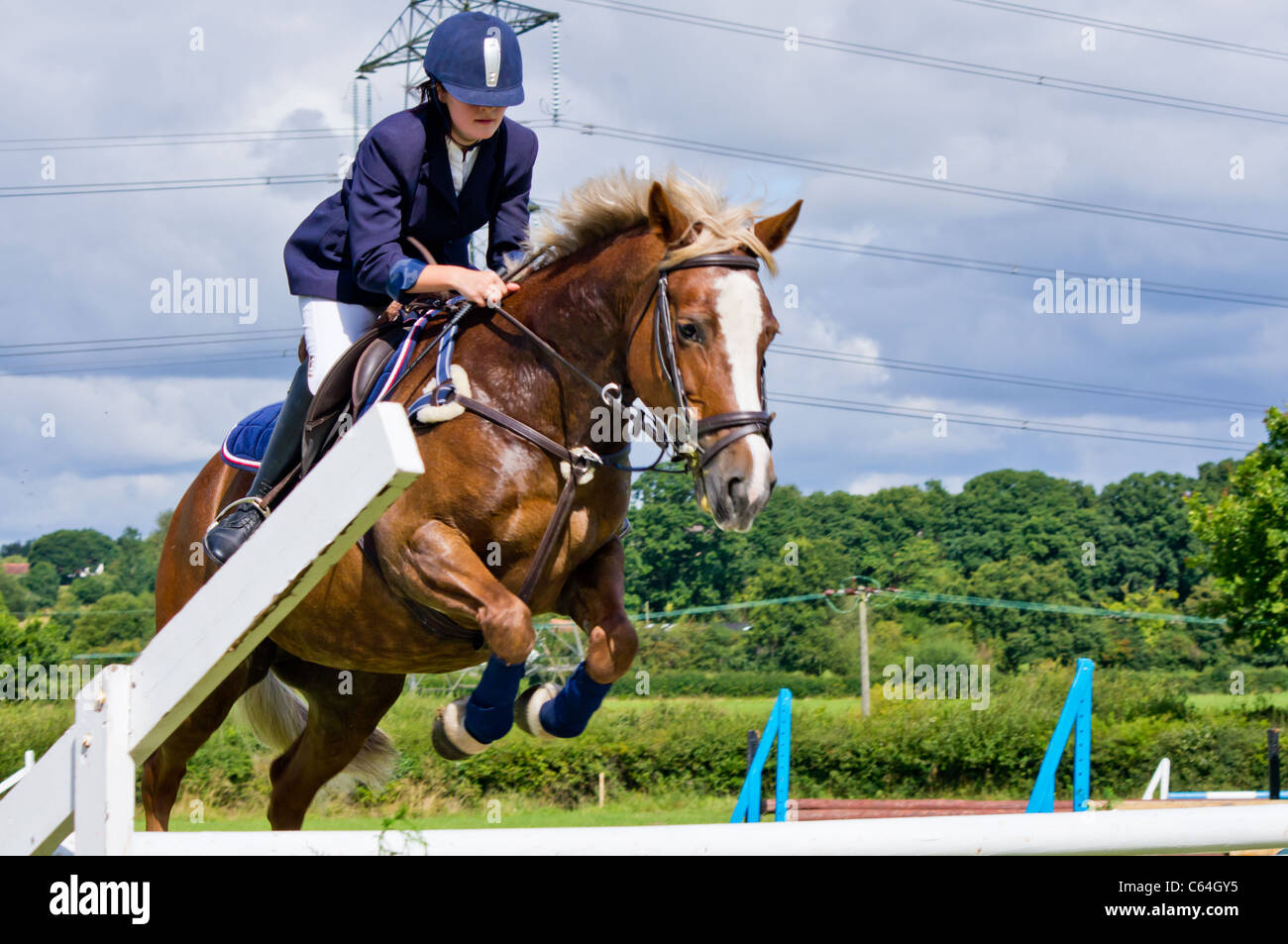 Horse and rider show jumping Stock Photo - Alamy