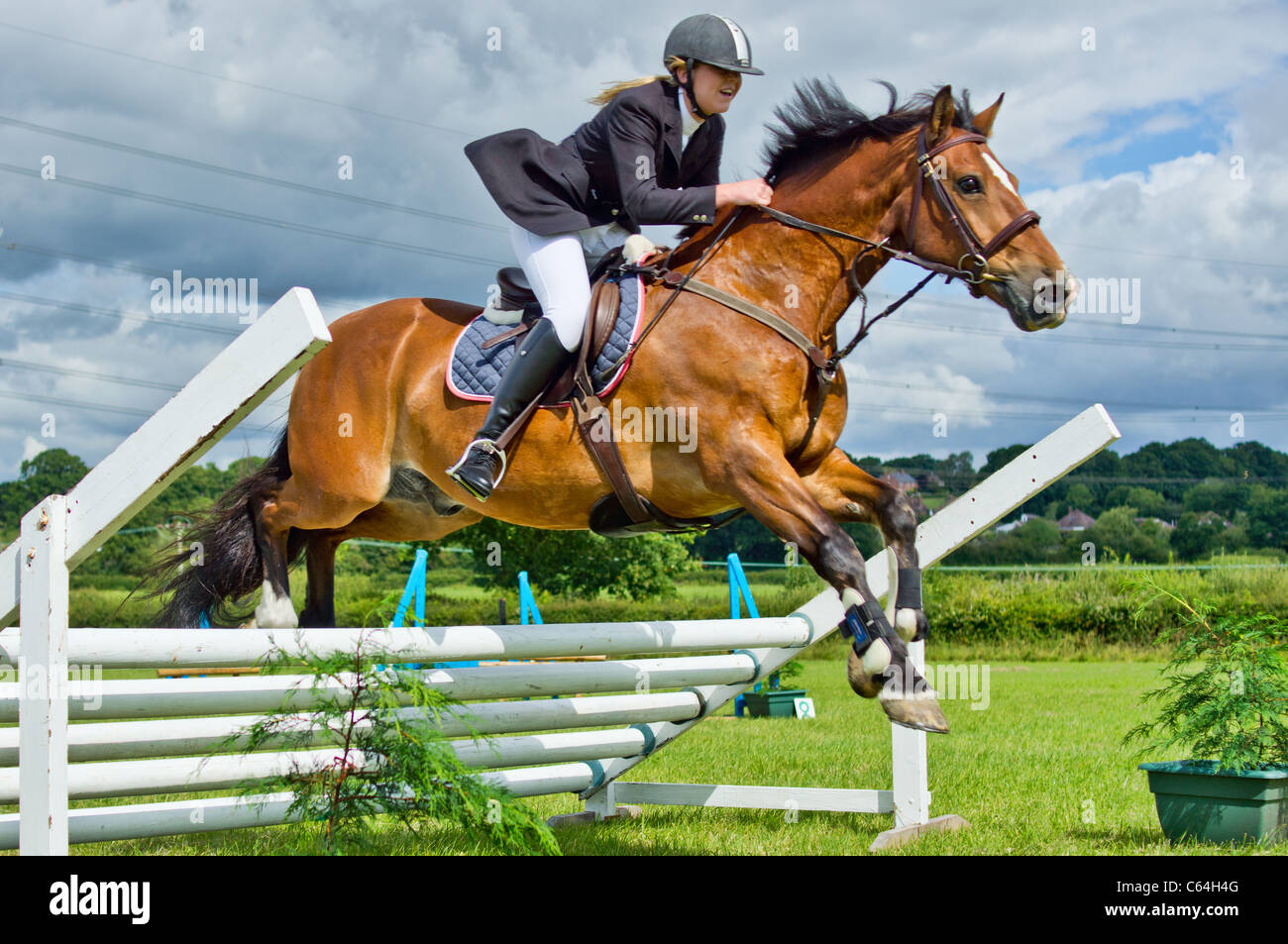 Horse and rider show jumping Stock Photo - Alamy