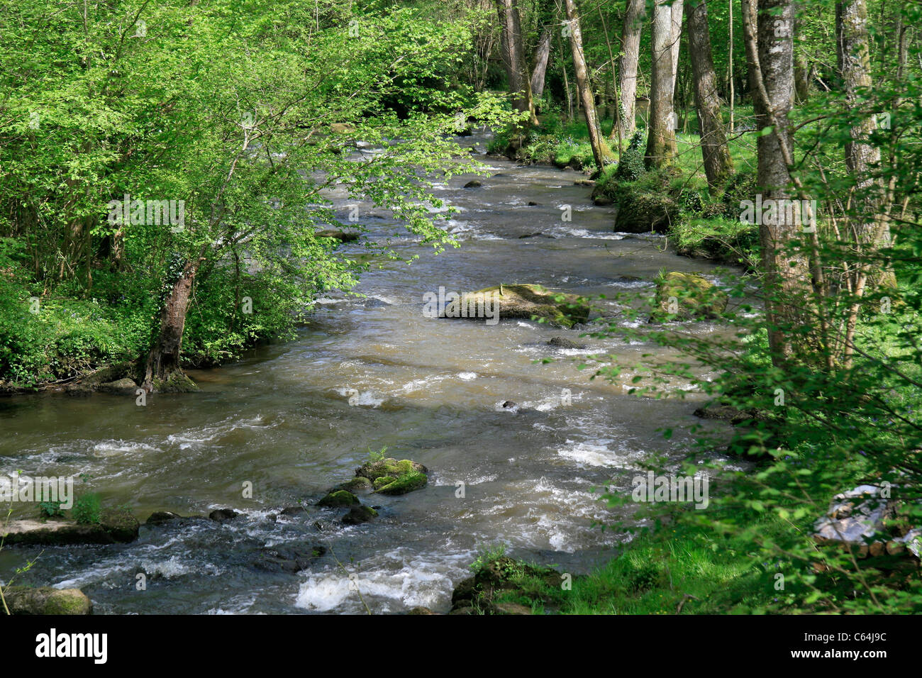 River 'La Colmont' (Trail of 'Moulins', Brecé, Mayenne department ...