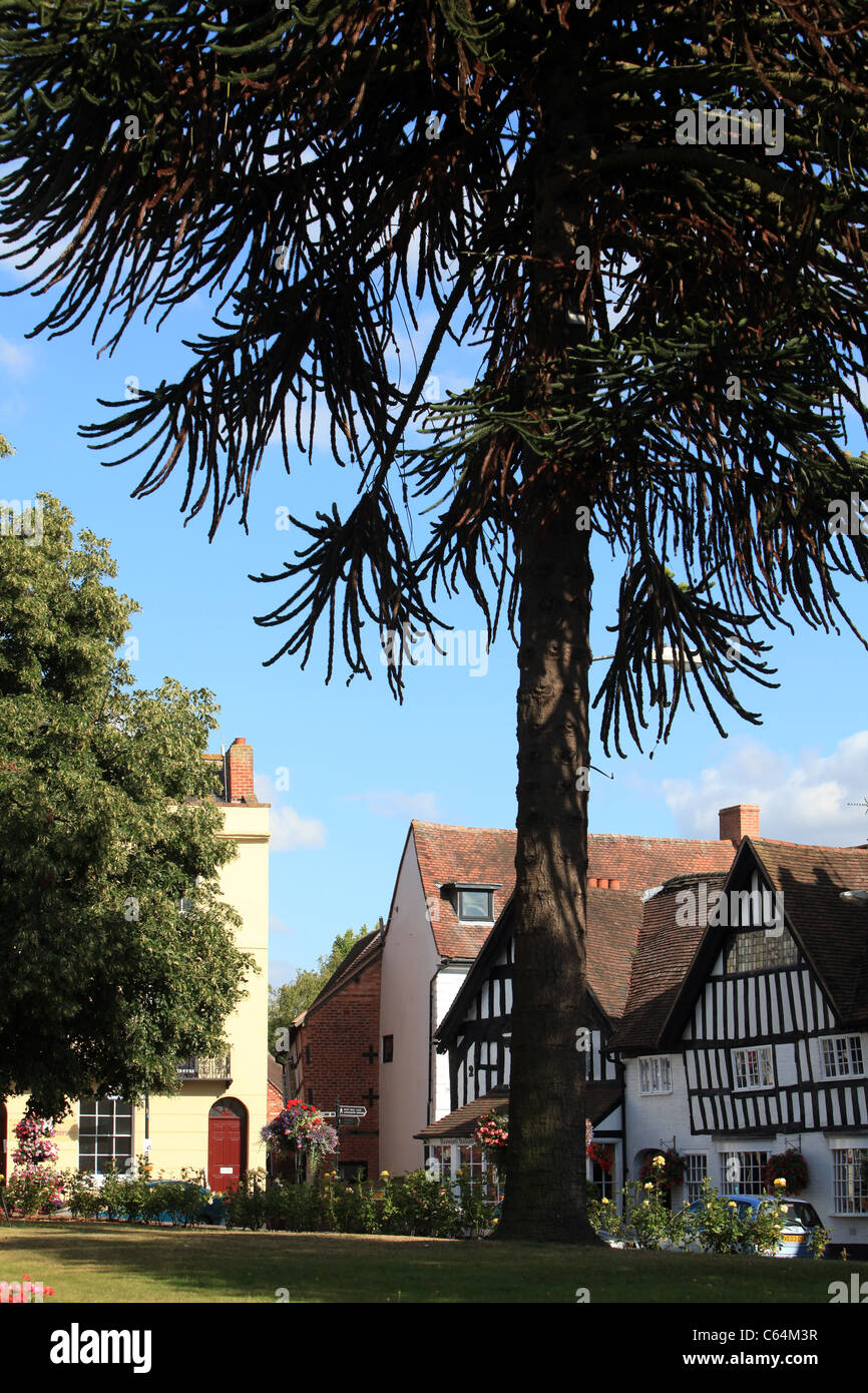 Alcester hi-res stock photography and images - Alamy