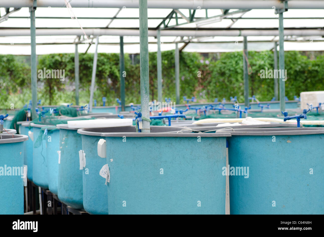 Agriculture aquaculture water system farm Stock Photo - Alamy