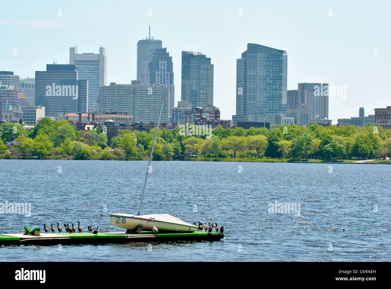Boston charles river view hi-res stock photography and images - Alamy