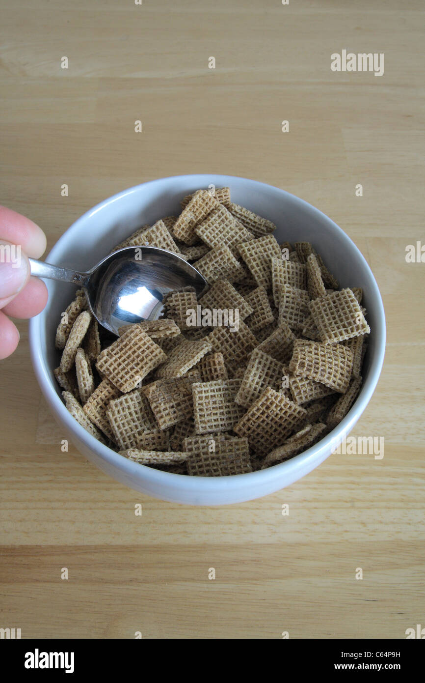 Caucasian Adult Male using a spoon to eat Shreddies Breakfast Cereal ...