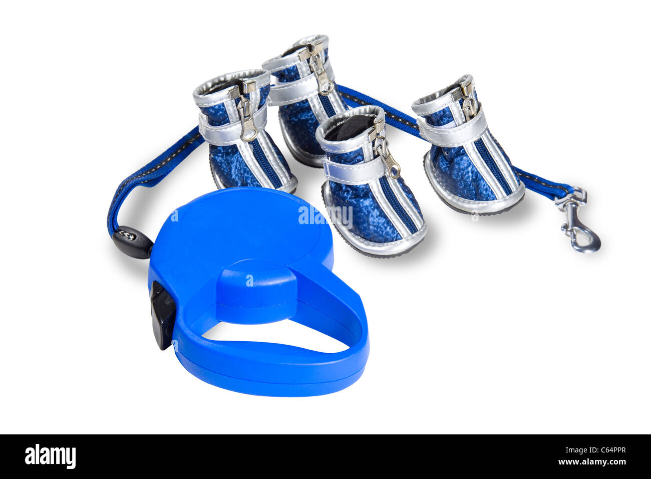 Leash and harness Cut Out Stock Images & Pictures - Alamy