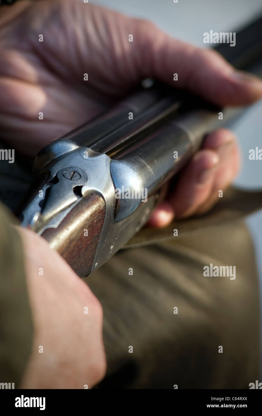 Scatter gun hi-res stock photography and images - Alamy