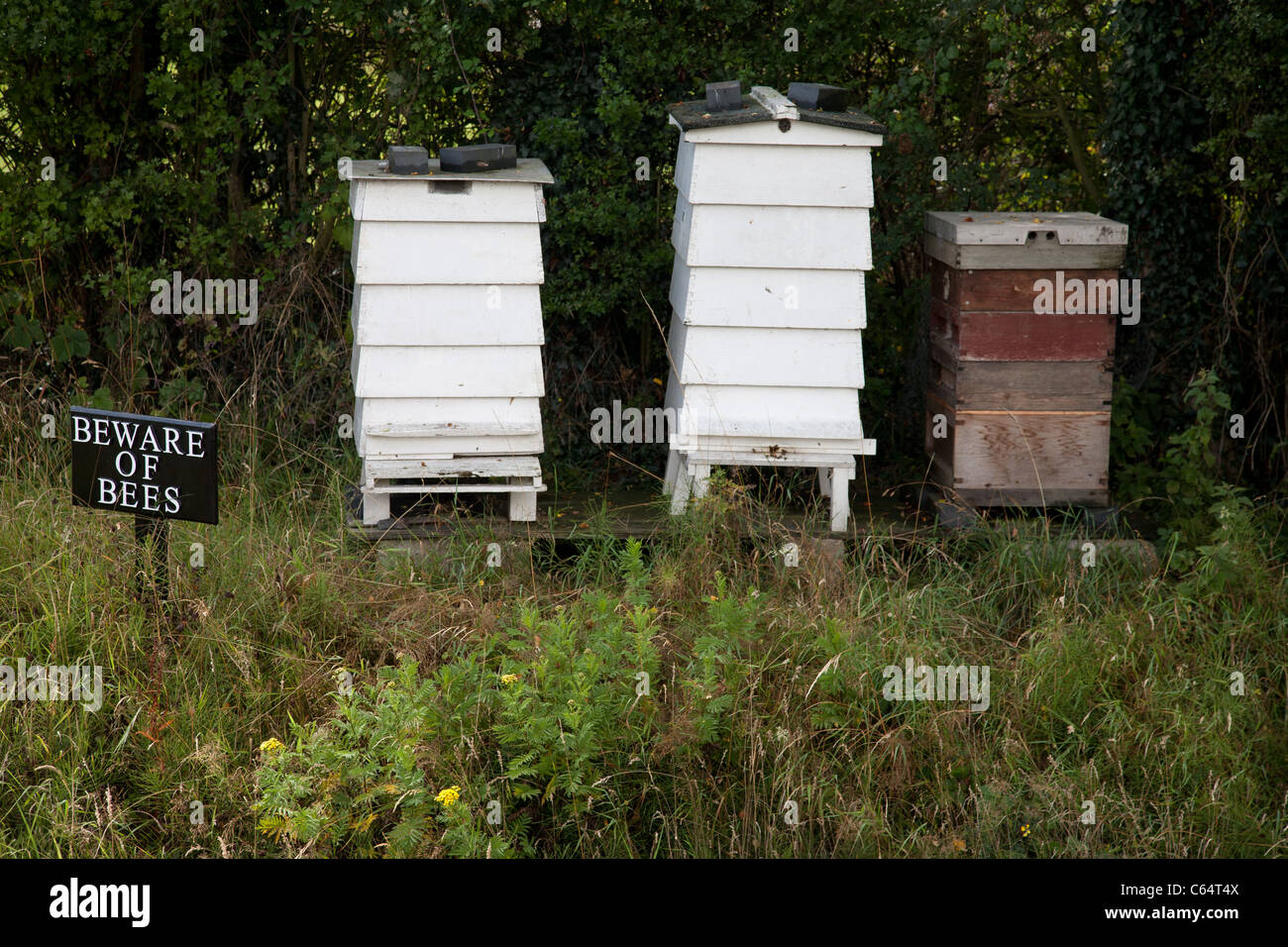 Bee hives Kent Stock Photo - Alamy