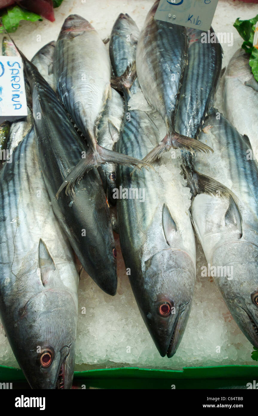 Fish on a stall at Mercat de la Boqueria Stock Photo - Alamy