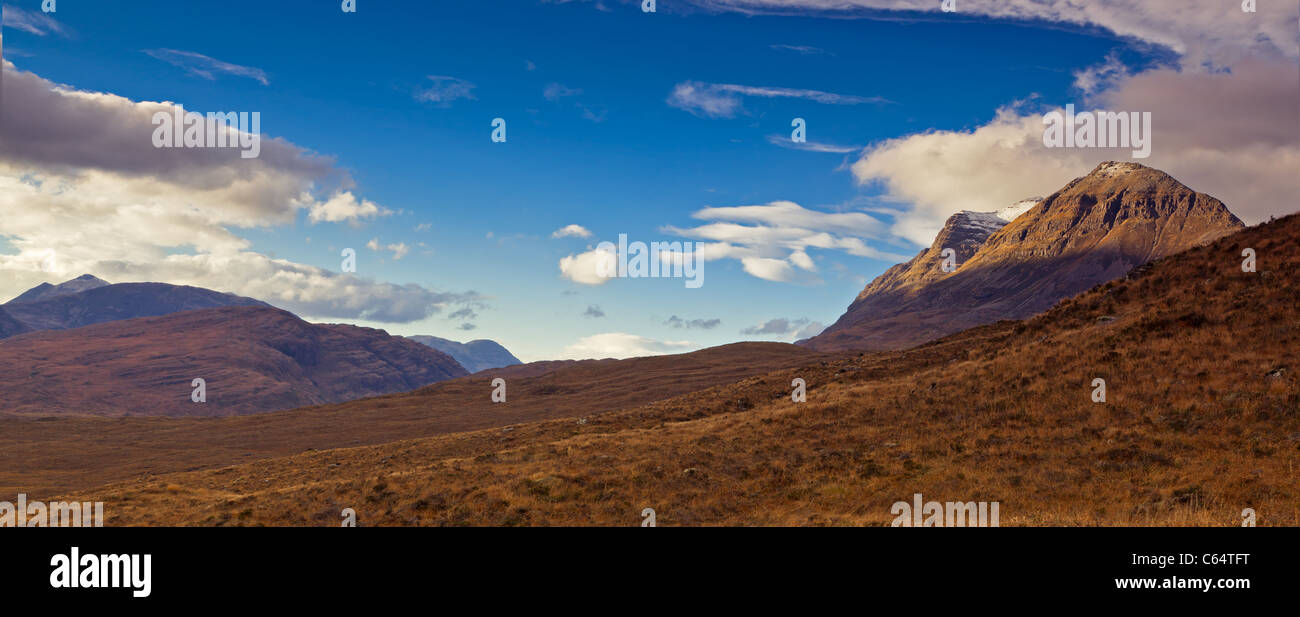 Scottish mountain fauna hi-res stock photography and images - Alamy