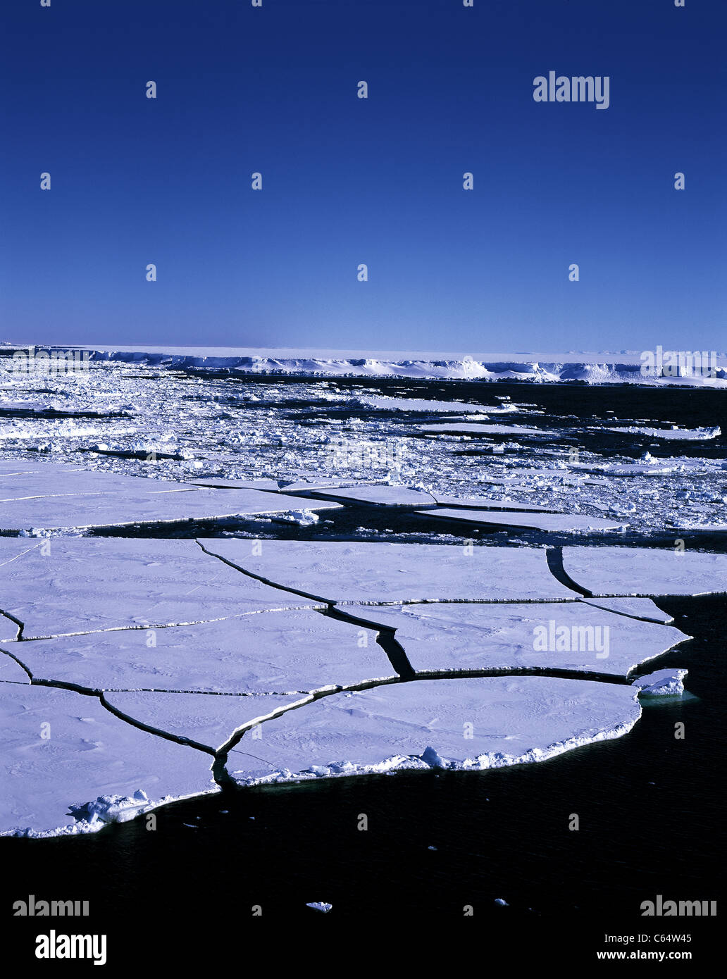 Pack ice and Ross Ice Shelf, Ross Sea, Antarctica Stock Photo - Alamy