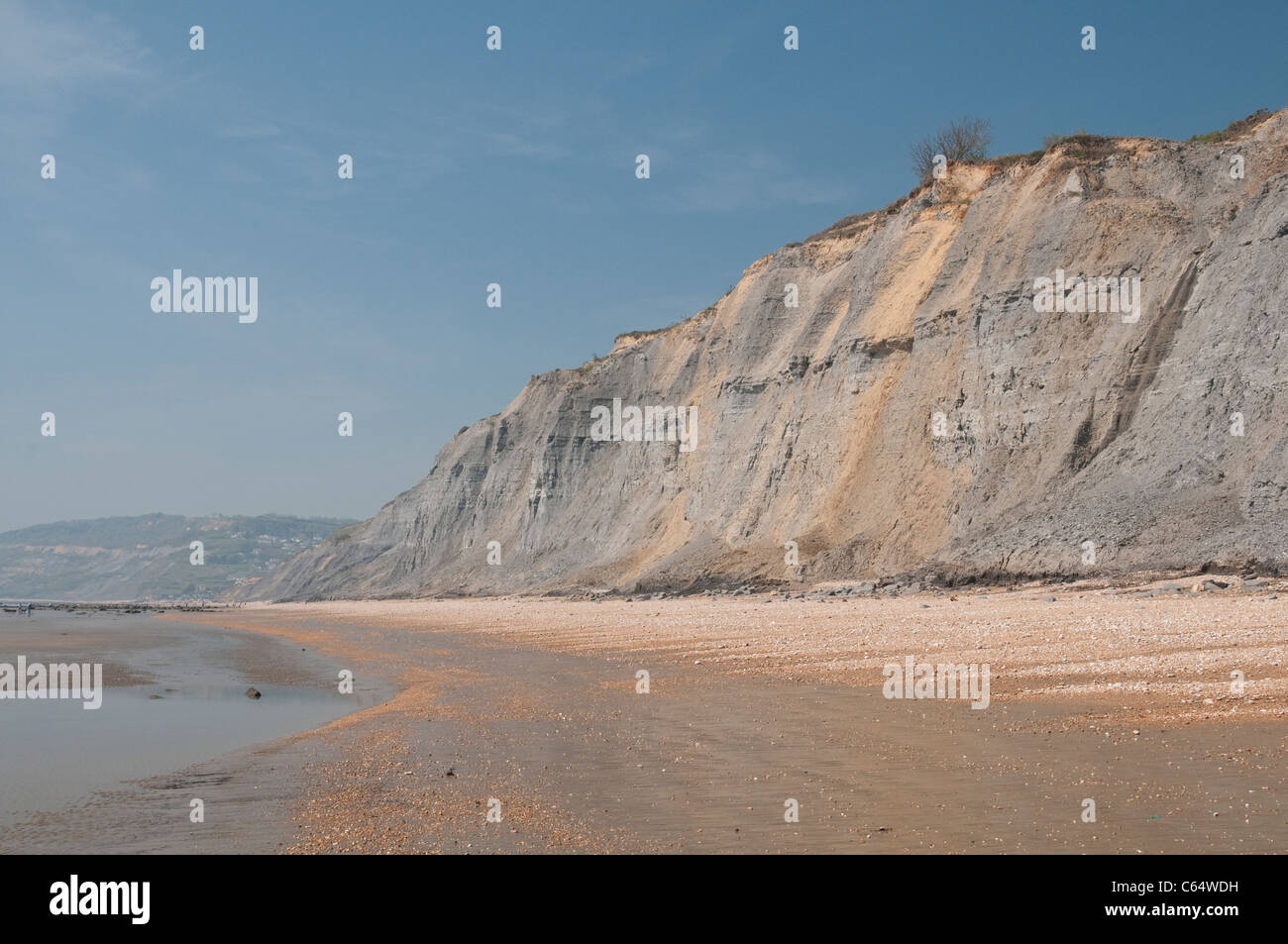 Fossil Bearing Cliffs at Charmouth, Dorset, UK Stock Photo - Alamy