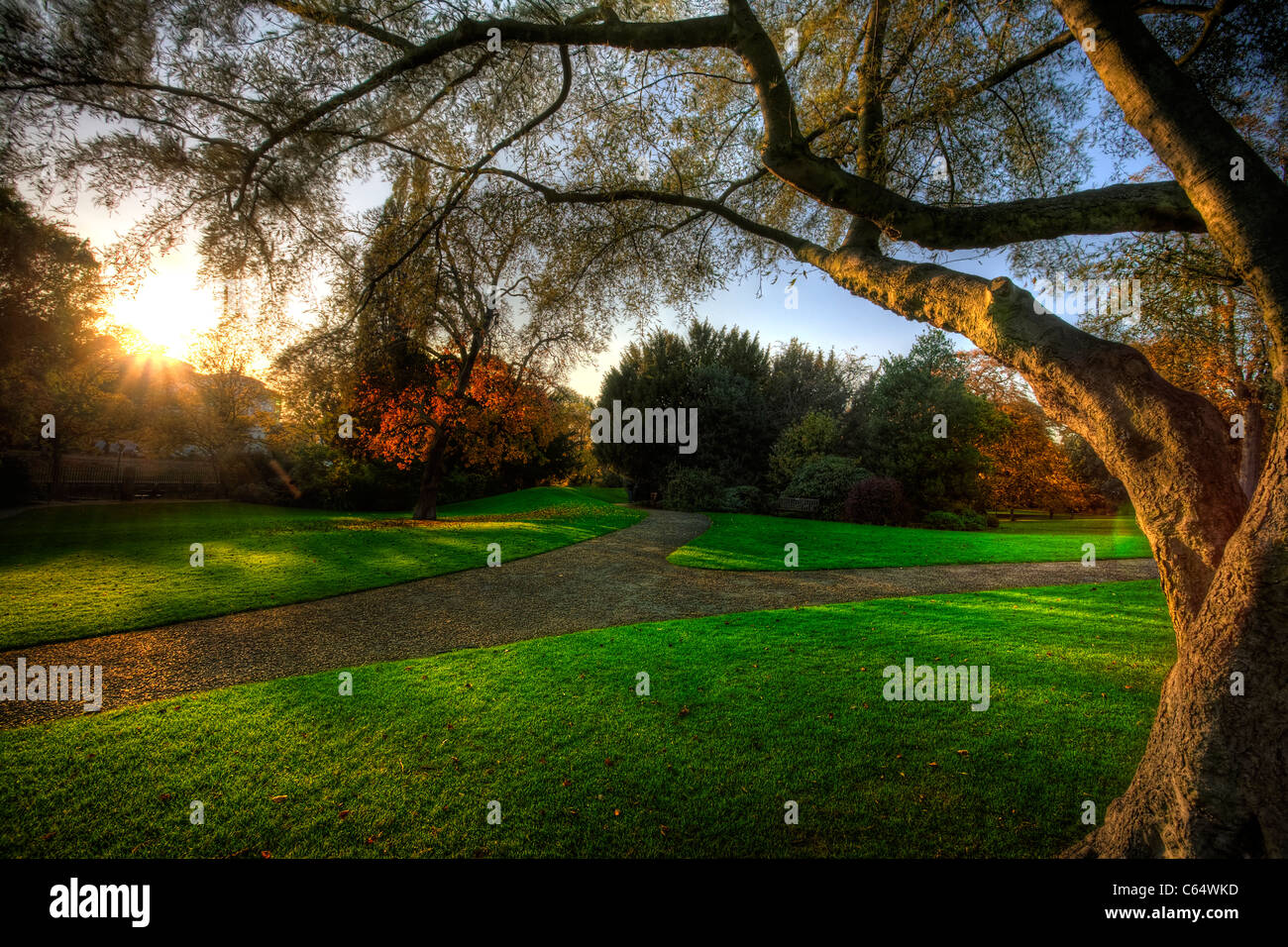 Ornamental grasses garden path hi-res stock photography and images - Alamy