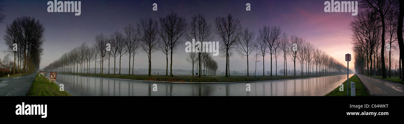 Panorama image of lane of trees in Belgium, Bruges Stock Photo - Alamy
