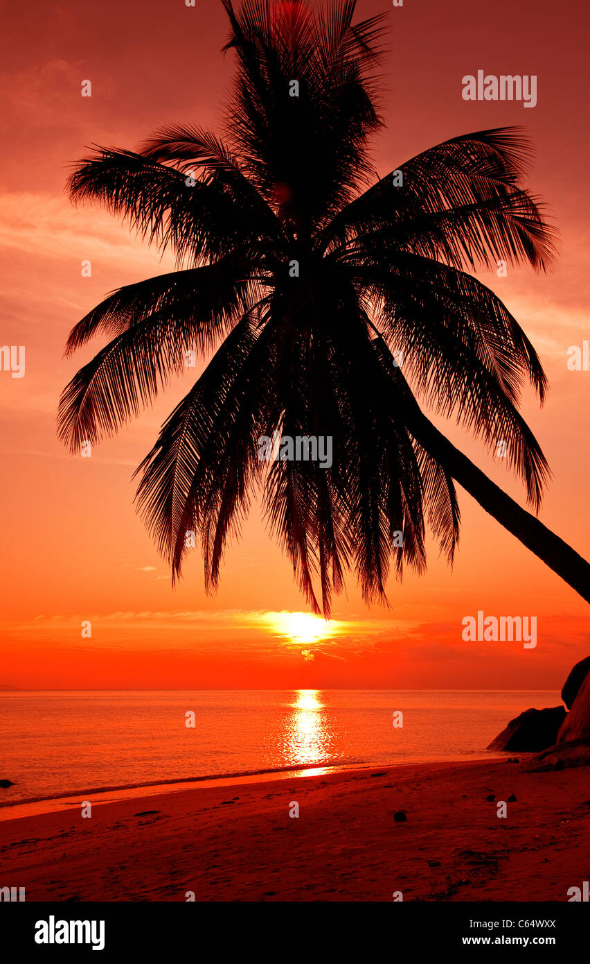 Scorching hot sun hi-res stock photography and images - Alamy