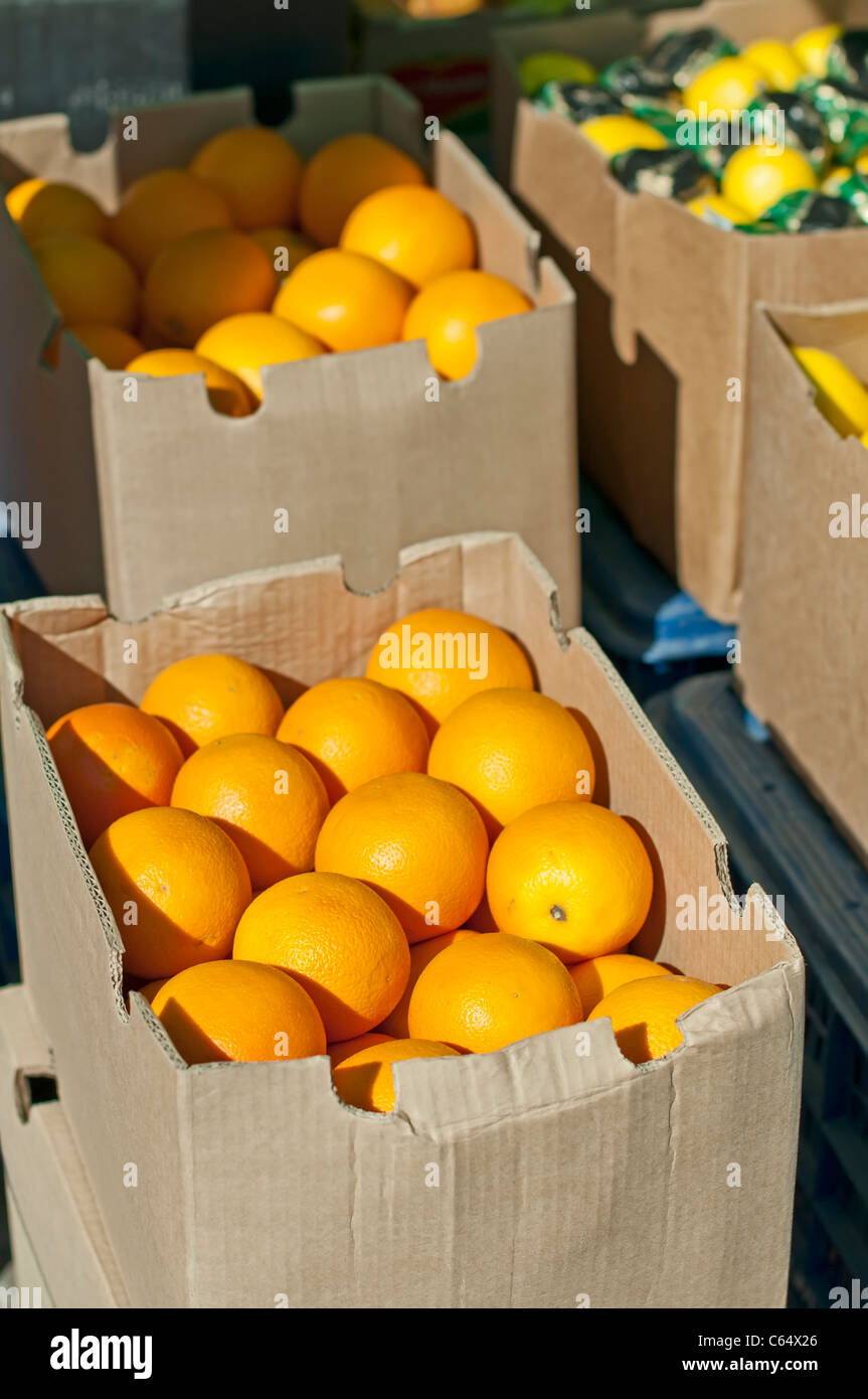 Oranges in boxes in Wholesale market Stock Photo - Alamy