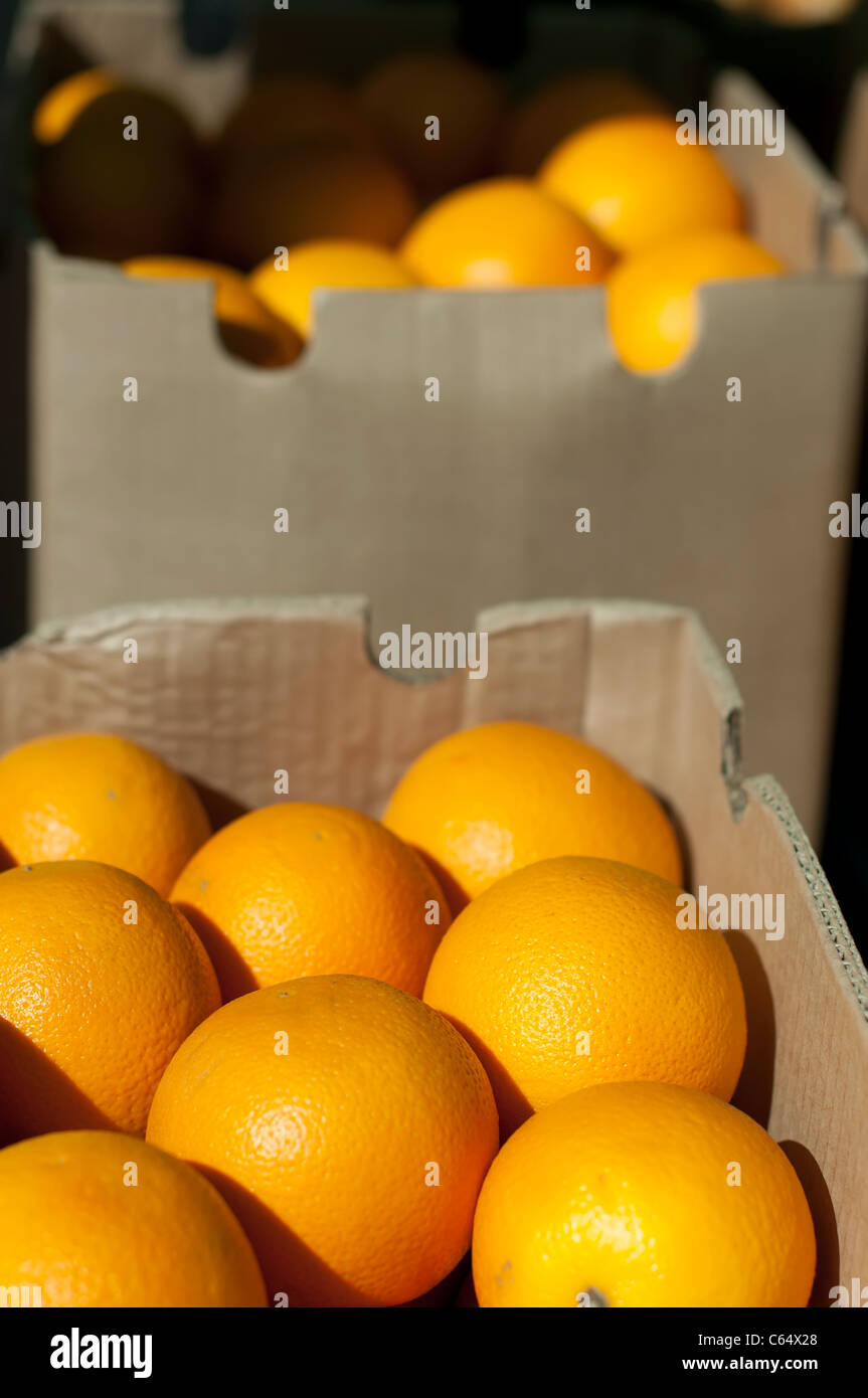 Oranges in boxes in Wholesale market. Close up Stock Photo - Alamy