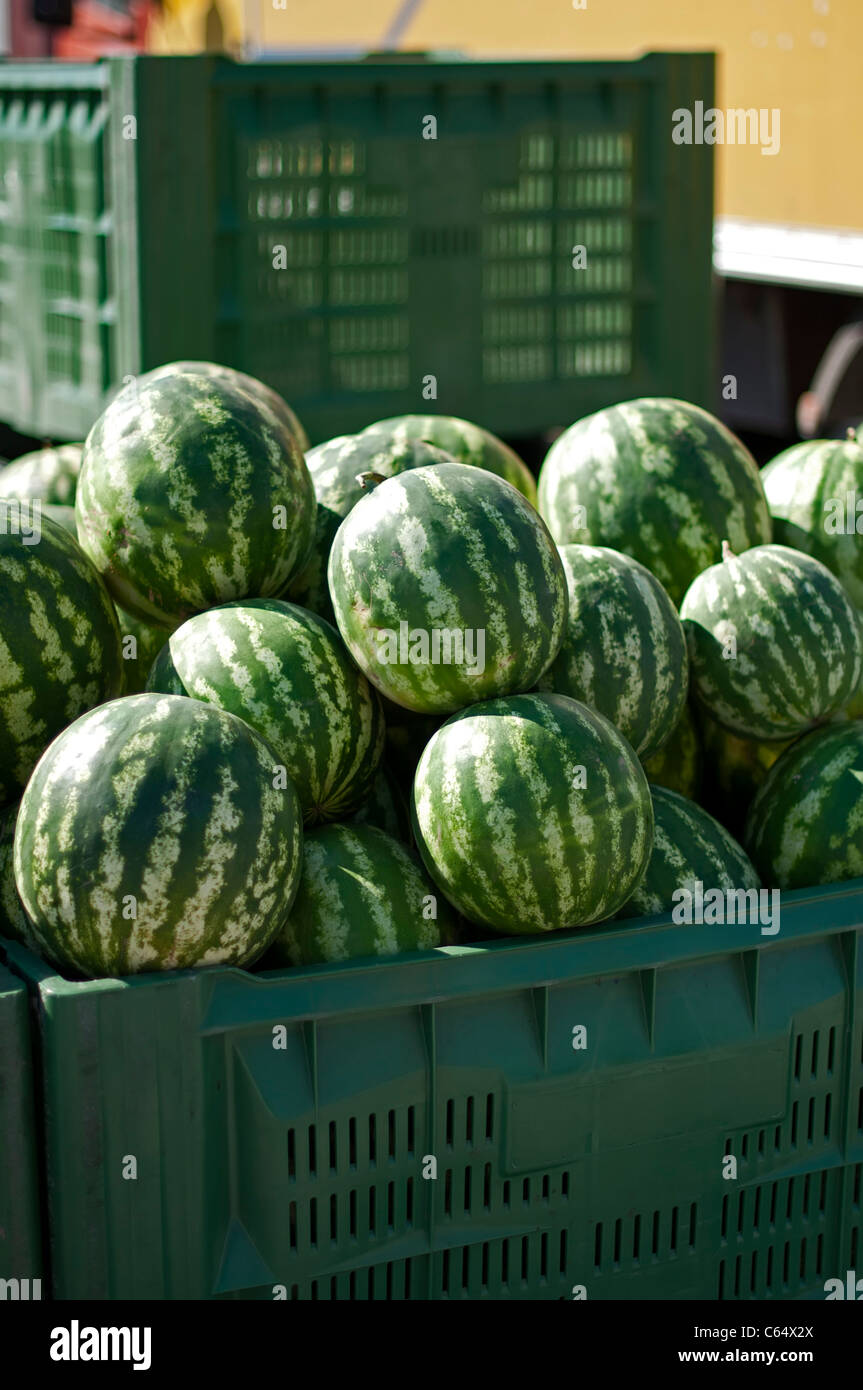 Watermelons in large crates in Wholesale market Stock Photo - Alamy