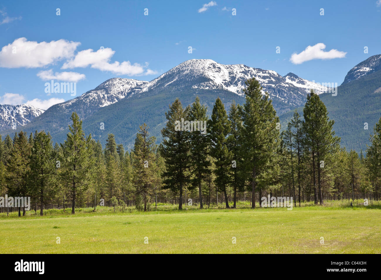 Swan Mountain Range, Rockies, MT Stock Photo - Alamy