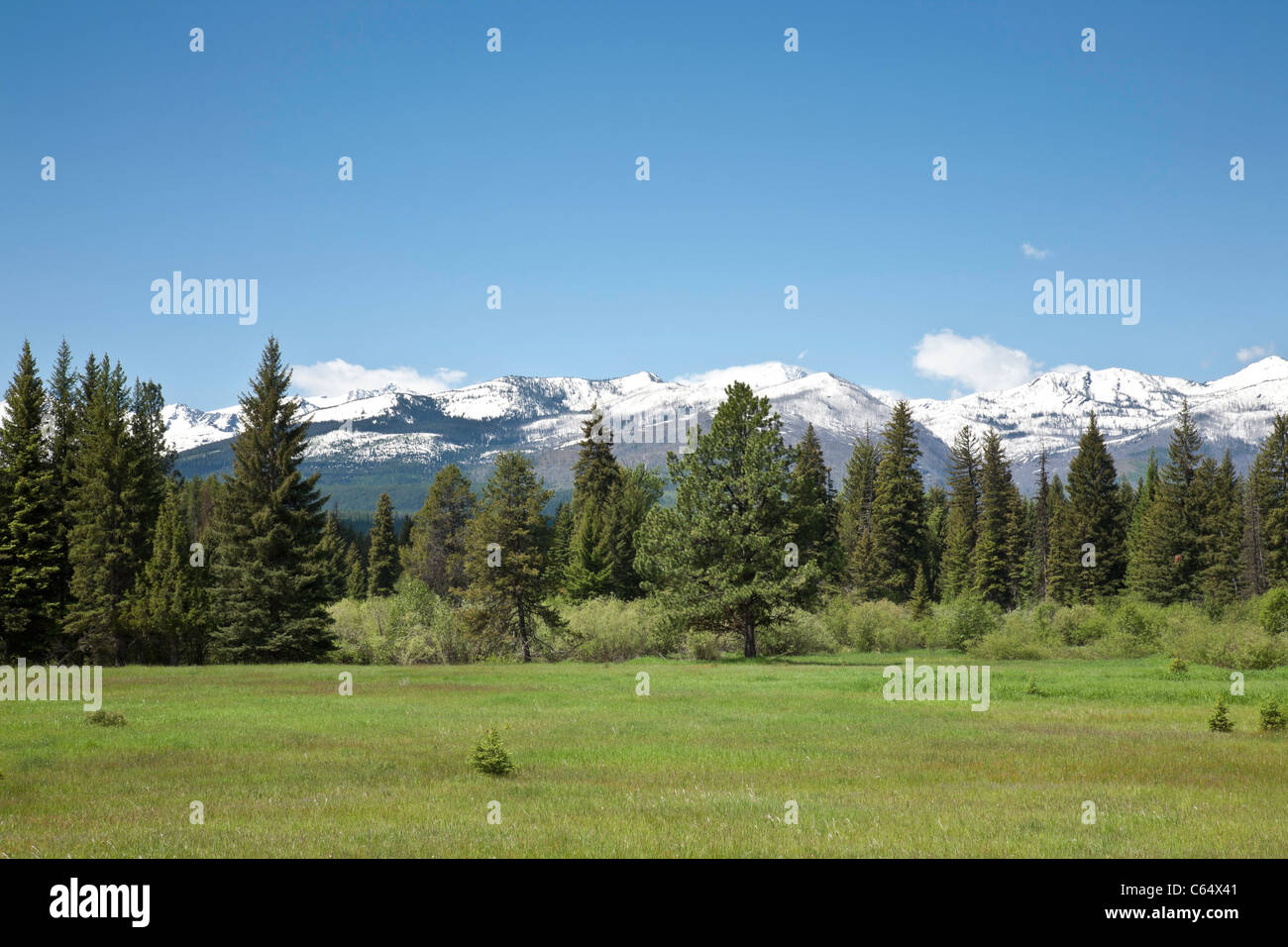 Swan Mountain Range, Rockies, MT Stock Photo - Alamy
