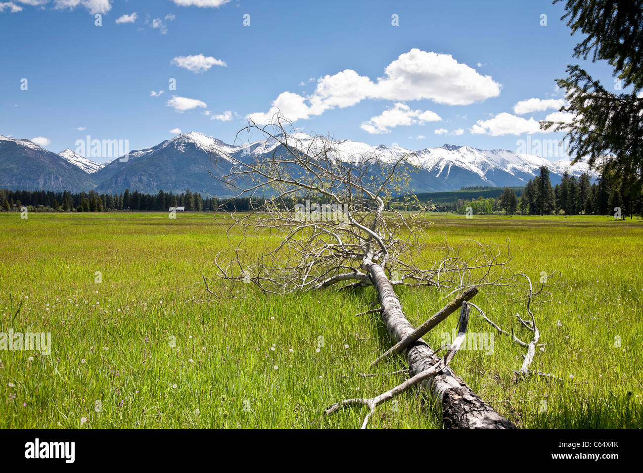 Swan Valley, Swan Mountain Range, Rocky Mountains, MT Stock Photo - Alamy