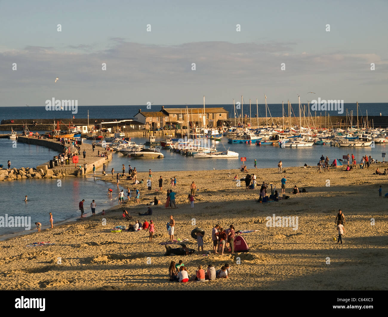 Late afternoon view of beach and harbour at Lyme Regis Dorset England ...