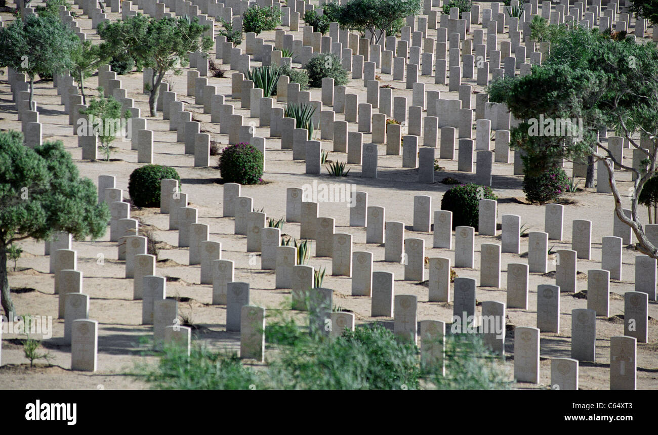 El Alamein War Cemetery, Egypt. The cemetery contains dead from WW2 and ...