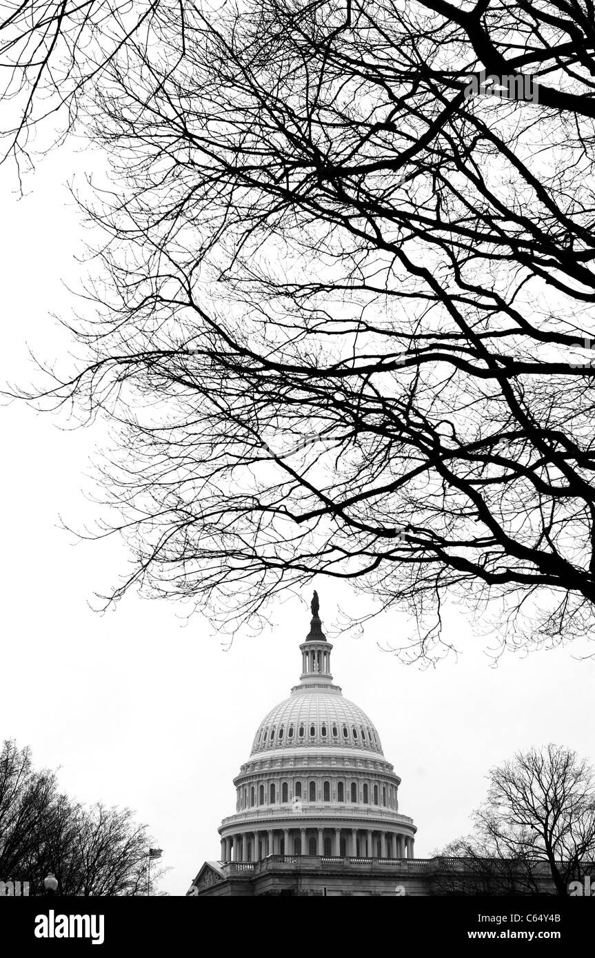 Washington dc flag Black and White Stock Photos & Images - Alamy