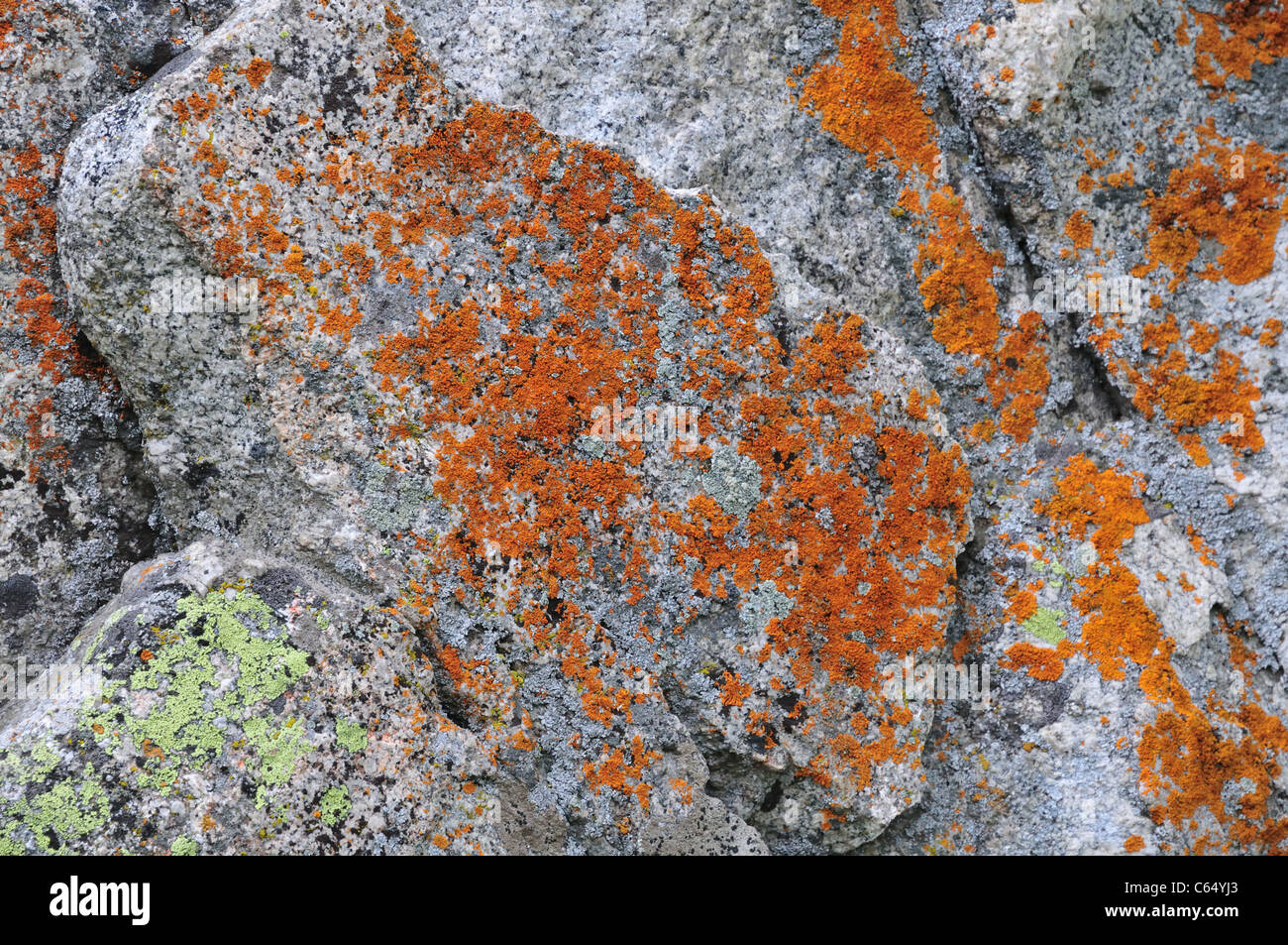 Lichens rocks hi-res stock photography and images - Alamy