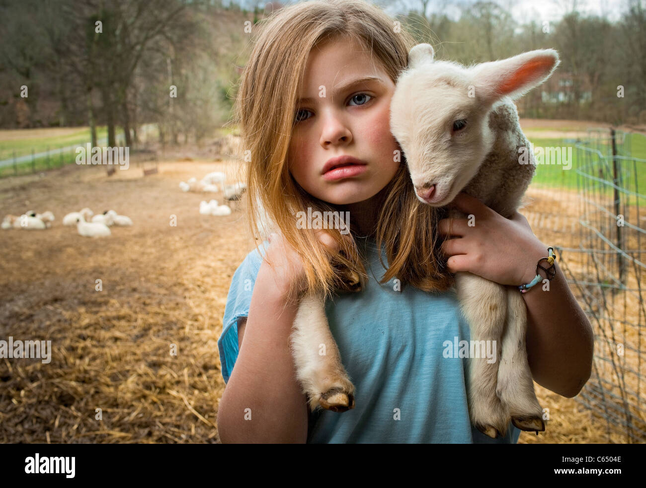 The child of the lamb hi-res stock photography and images - Alamy