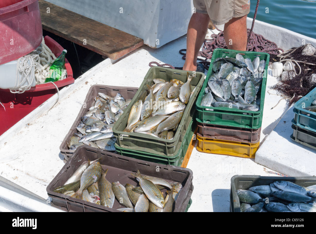 fisher bringing their catch home food fresh fish Stock Photo - Alamy
