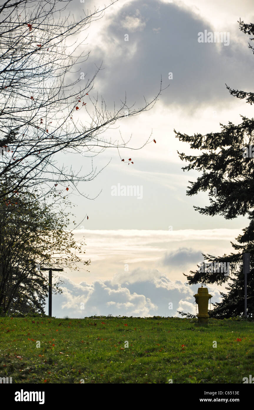 Nature Background Frame- Great for surrounding text or logo Stock Photo ...