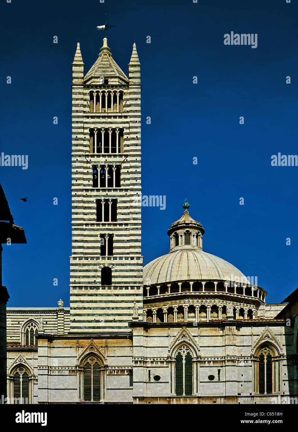 Siena, tower of the cathedral Stock Photo - Alamy