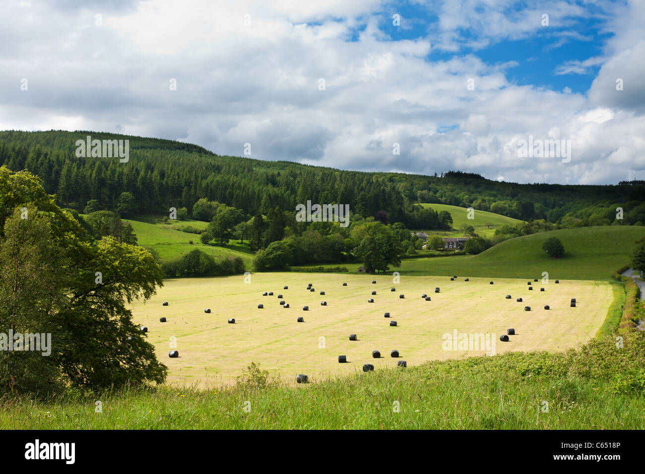 Grizedale forest hills lake district hi-res stock photography and ...