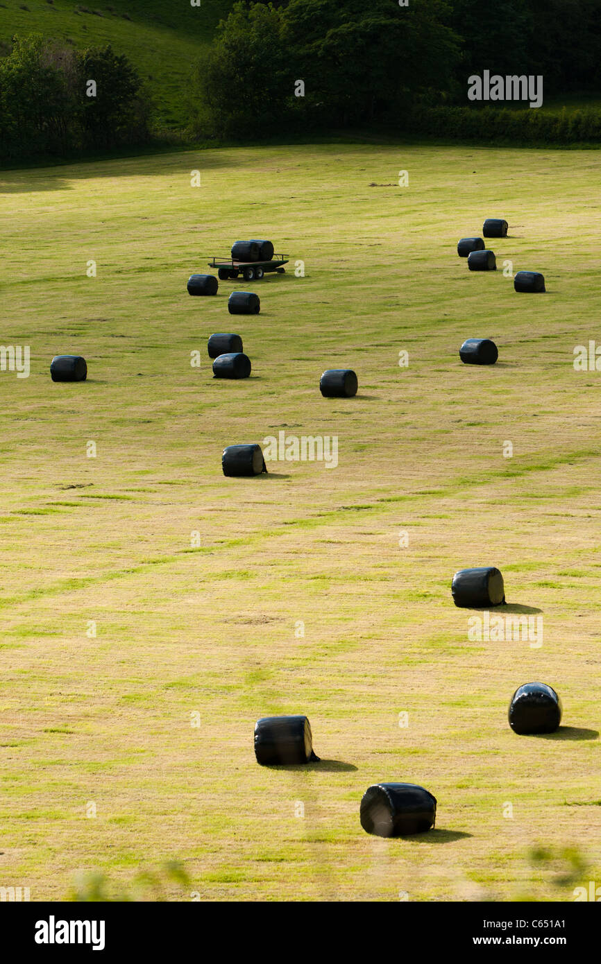 Cumbria farming hi-res stock photography and images - Alamy