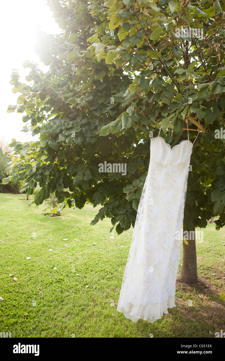 A wedding dress hanging down a tree Stock Photo - Alamy