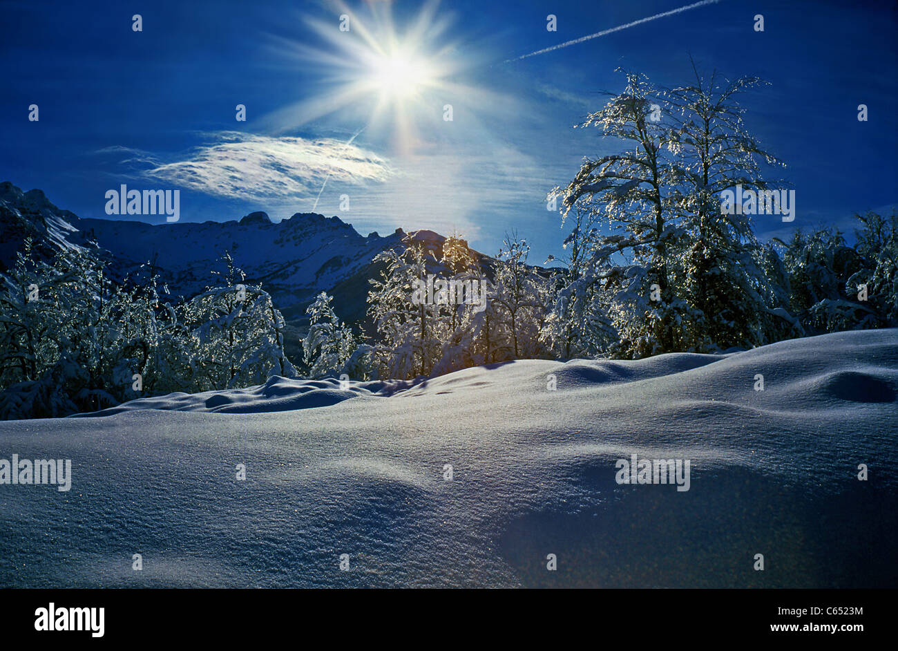 Winter under the snow Stock Photo - Alamy