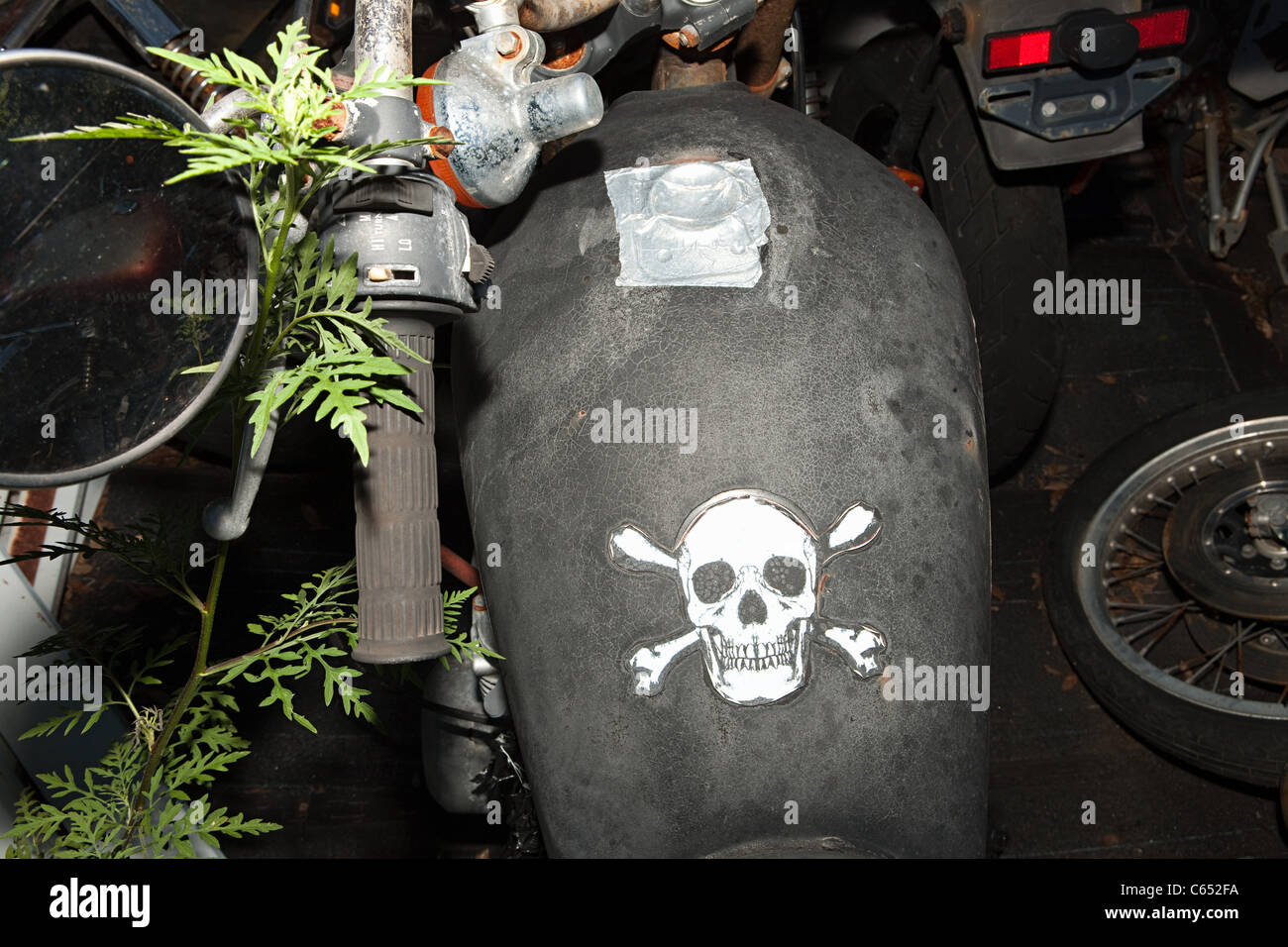 Skull And Crossbones Motorcycle | Reviewmotors.co
