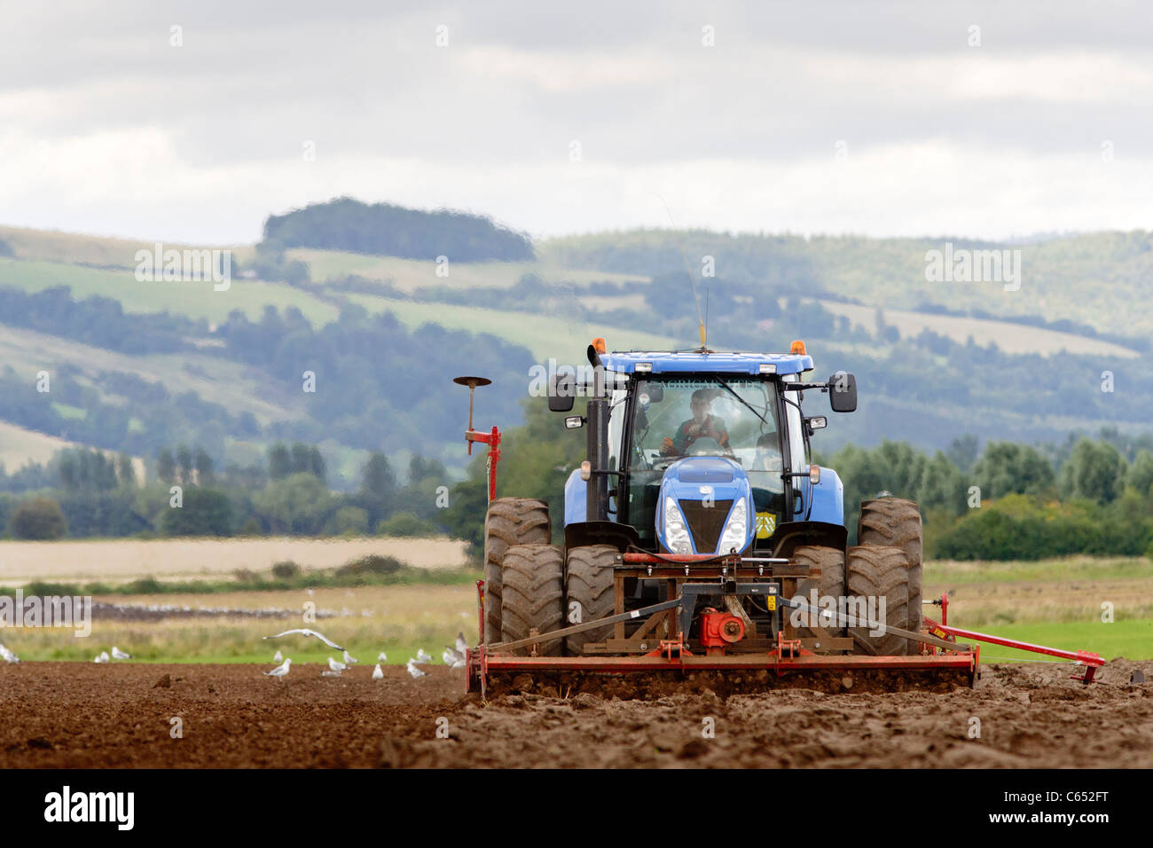A tractor tilling a field with hills to the rear and seagulls feeding ...