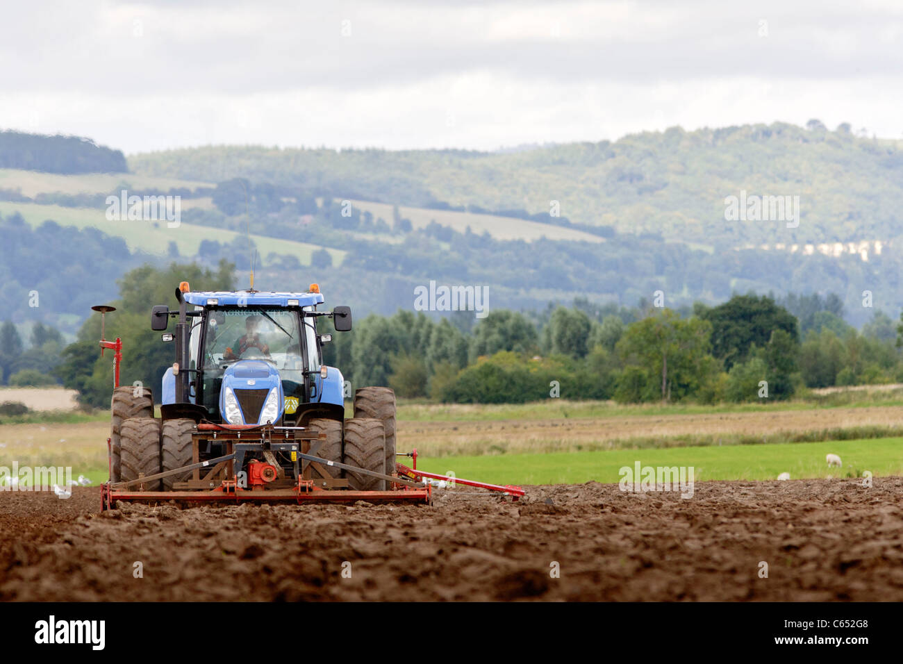 A tractor tilling a field with hills to the rear and seagulls feeding ...