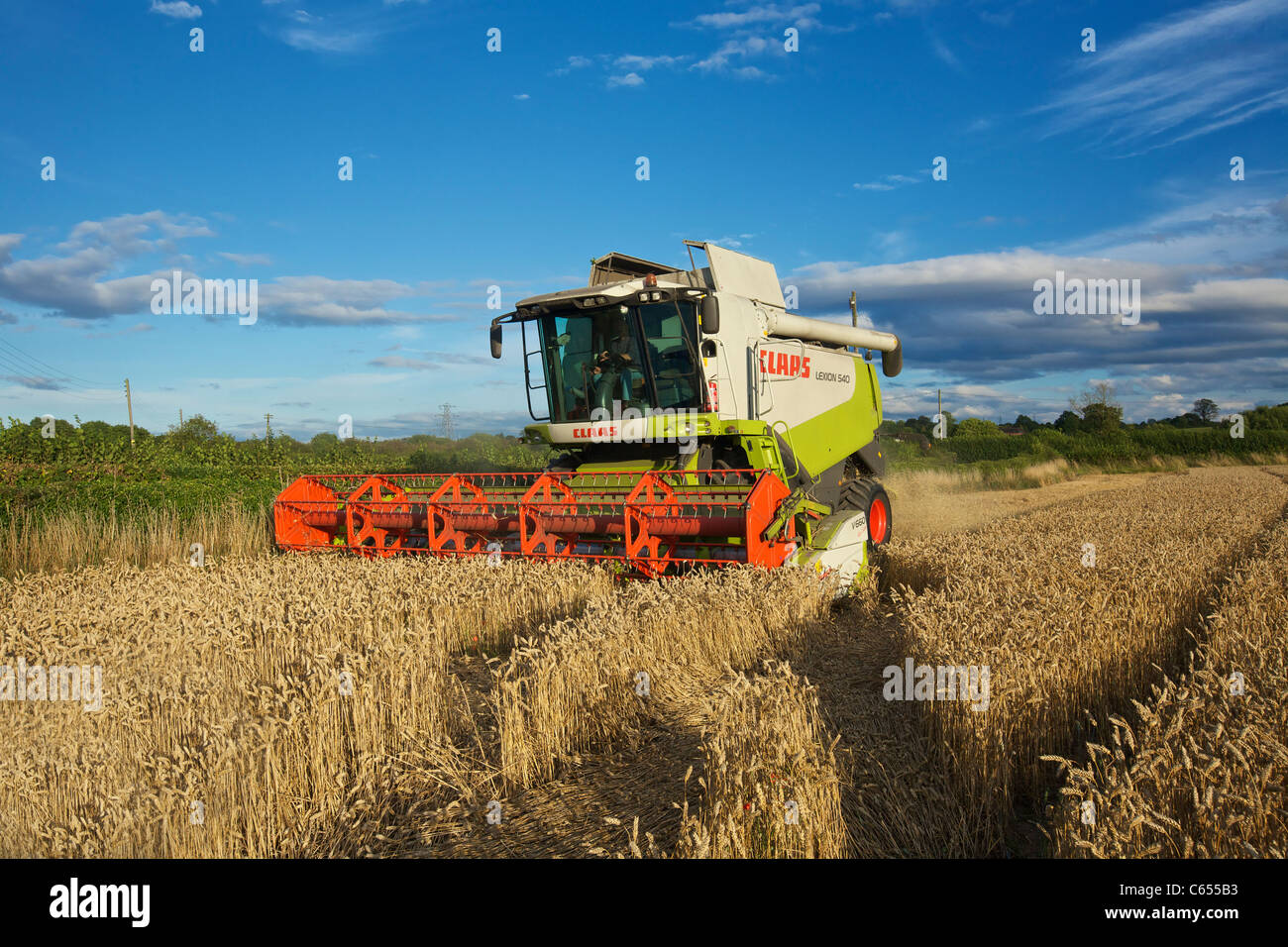 Claas Lexion 540 Combine Harvester UK Stock Photo - Alamy