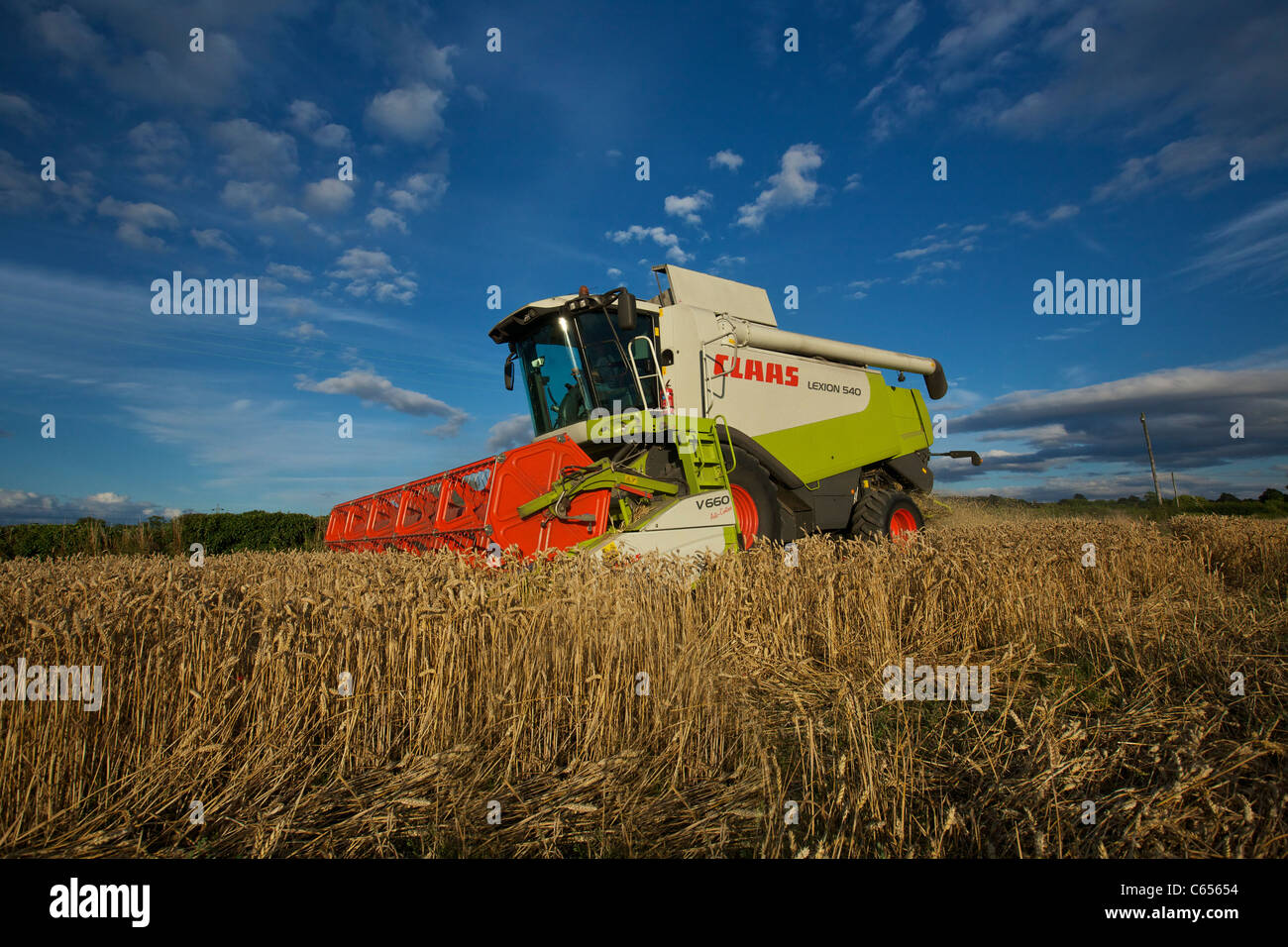 Claas Lexion 540 Combine Harvester UK Stock Photo - Alamy