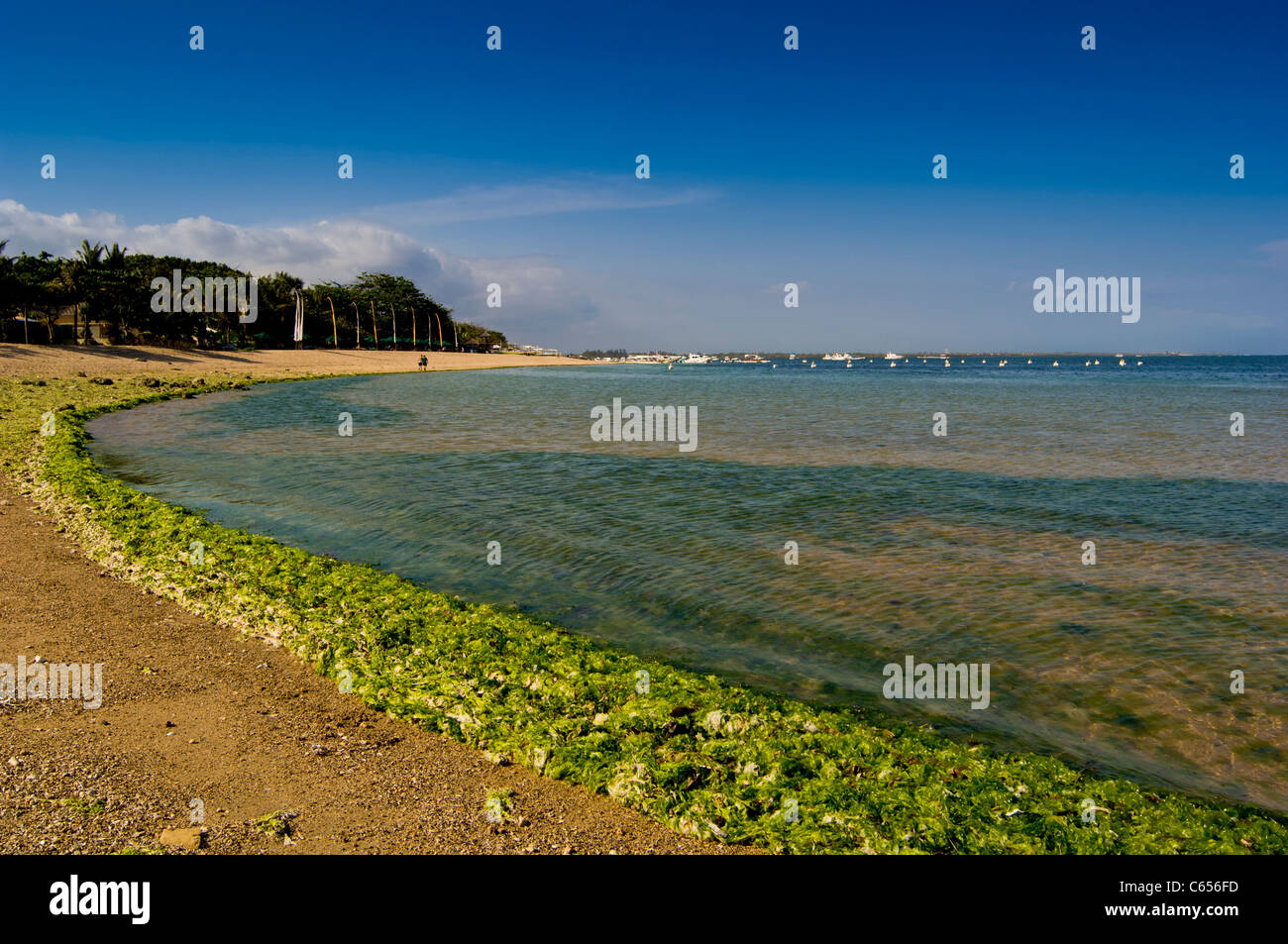 Shoreline low tide exposing hi-res stock photography and images - Alamy