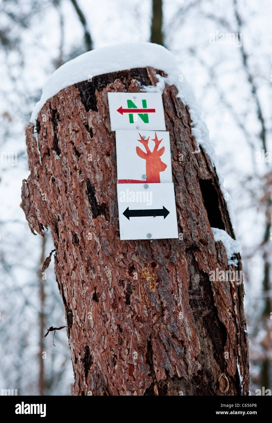 Sign on tree trunk Stock Photo - Alamy