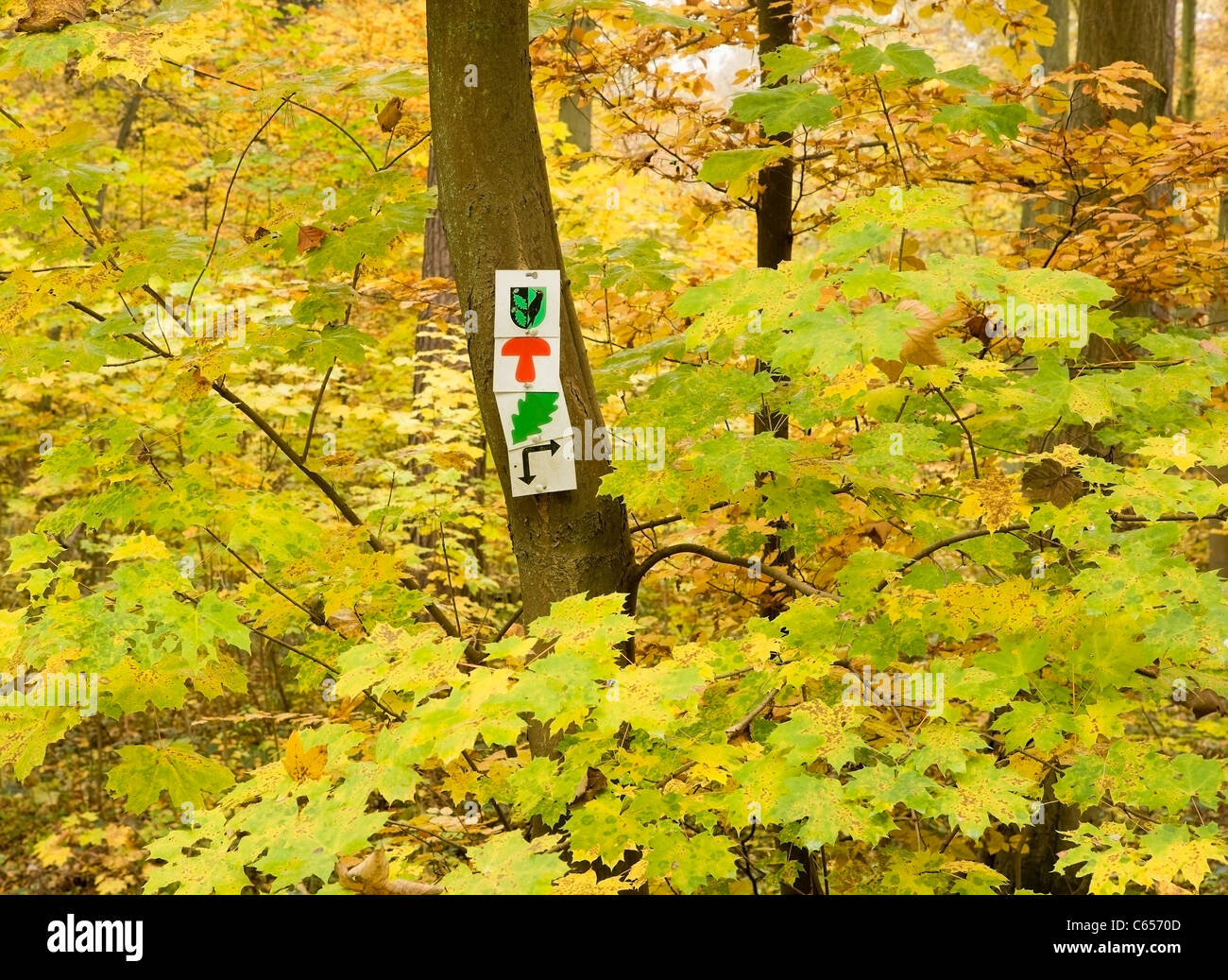 Sign on tree hi-res stock photography and images - Alamy