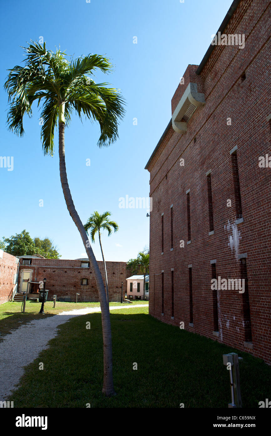 Courtyard with palm tree hi-res stock photography and images - Alamy