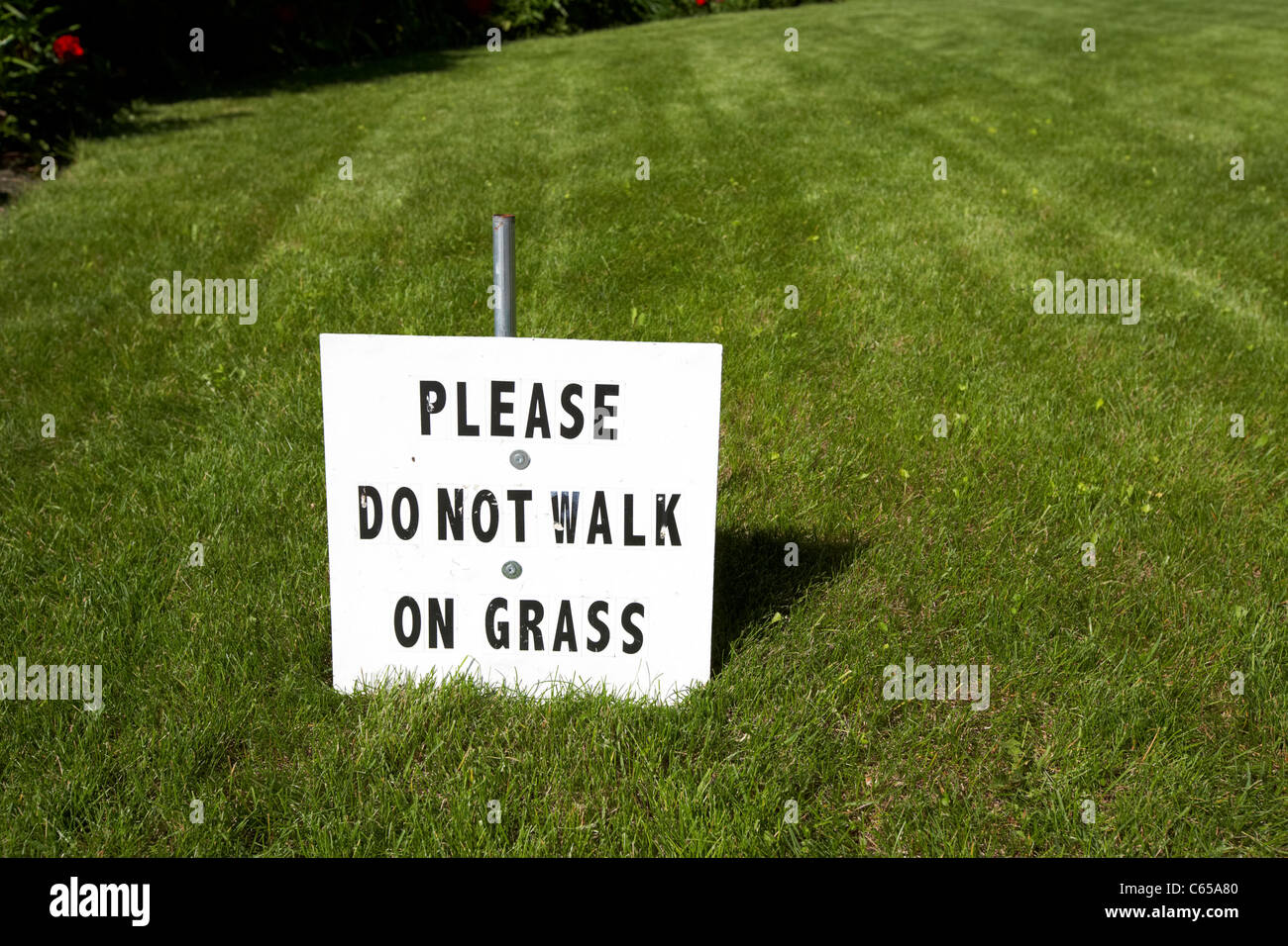 please do not walk on the grass sign on lawn Saskatoon Saskatchewan ...