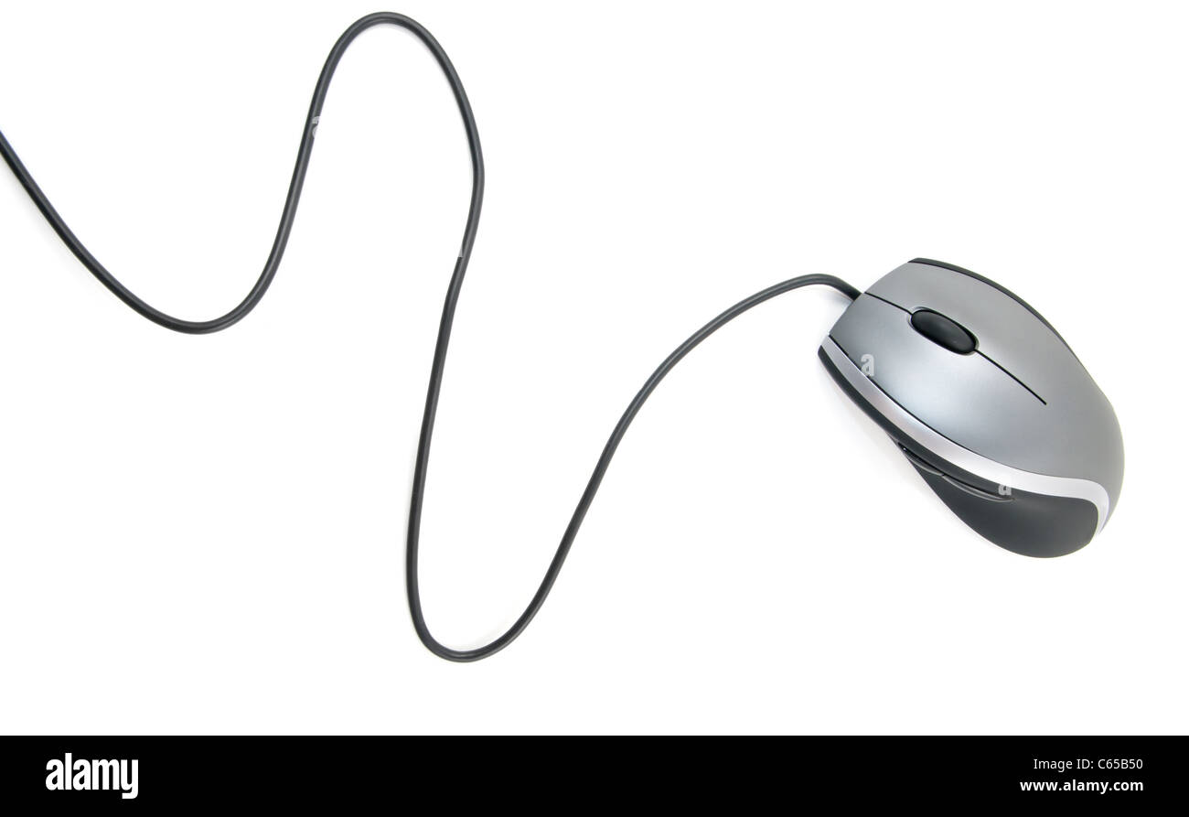 gray mouse isolated on white Stock Photo - Alamy